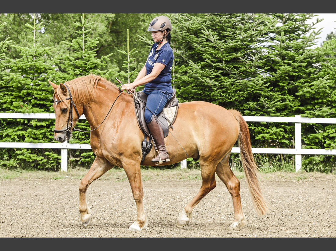 So reiten Sie besser: Einhändig reiten - cavallo.de